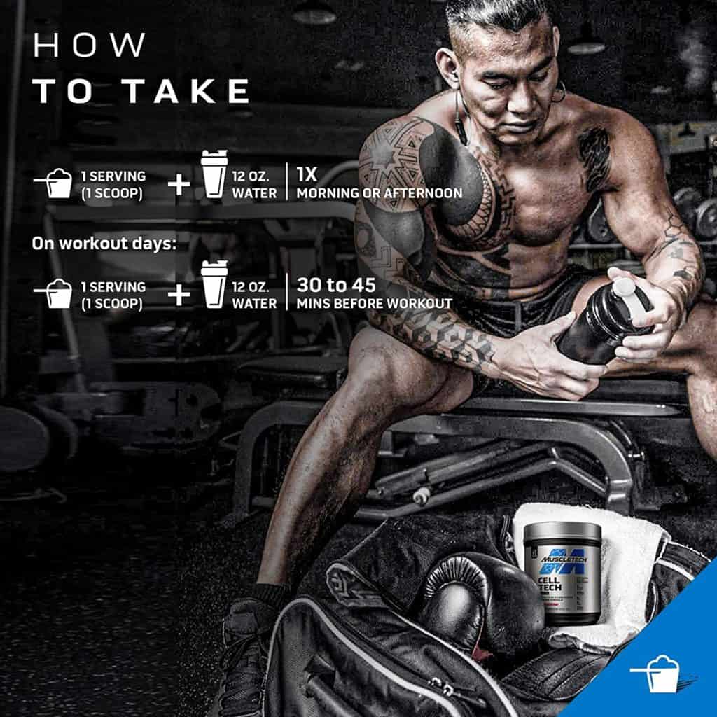 Cell-Tech Elite by Muscletech - Bodytech Supplements